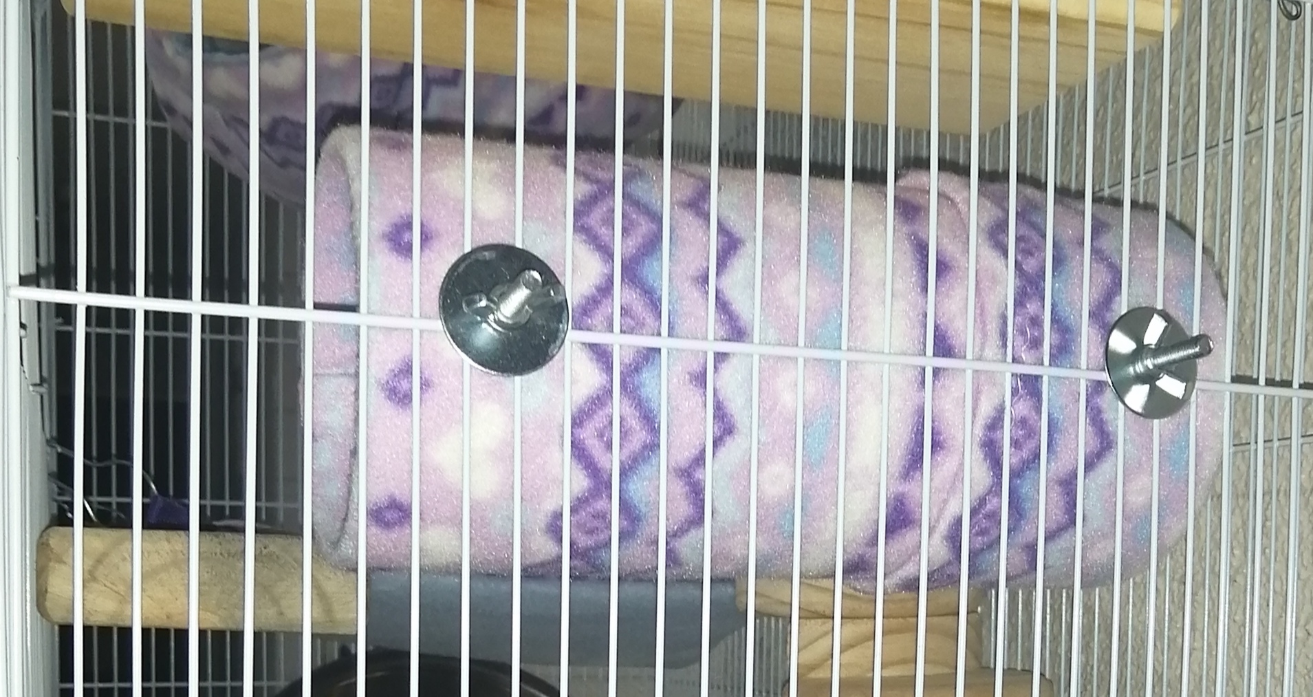 Dego pipe Rat 130mm – Chinchilla Heaven