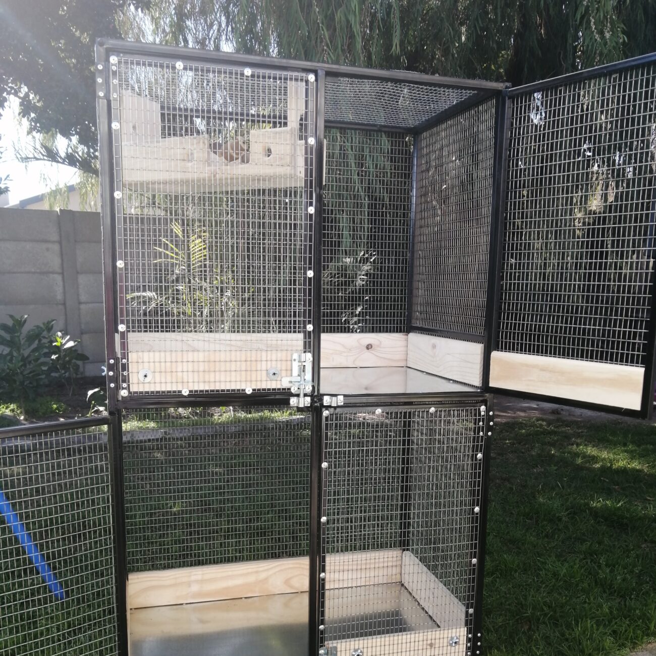 Accesories – Page 3 – Chinchilla Heaven